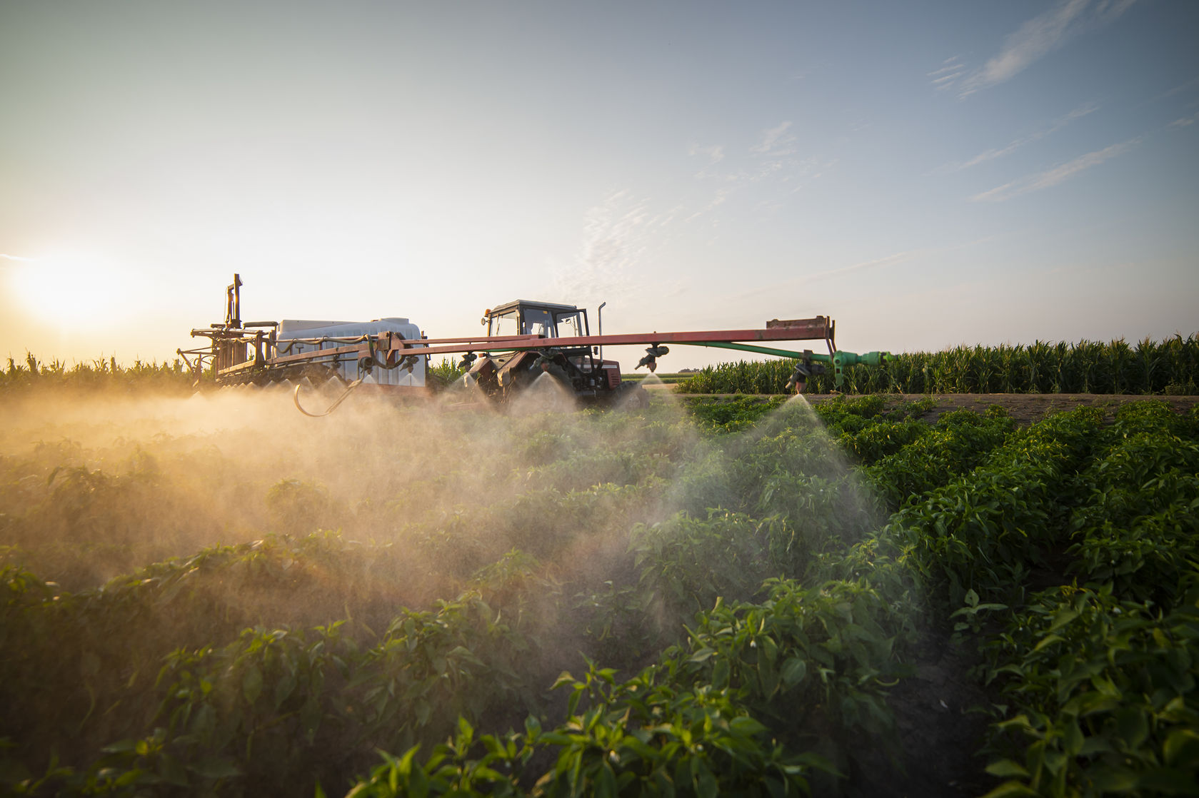 Navigating Agrichemical Challenges: The Dicamba Decision - SpinnerAg Inc.