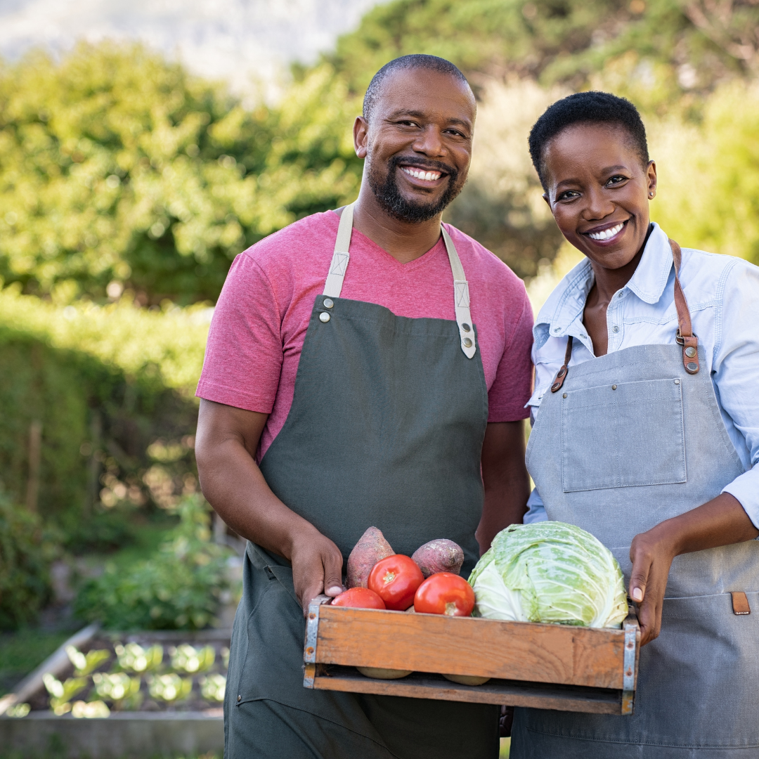 Navigating the Future of Agriculture: Insights and Innovations from SpinnerAg - SpinnerAg Inc.