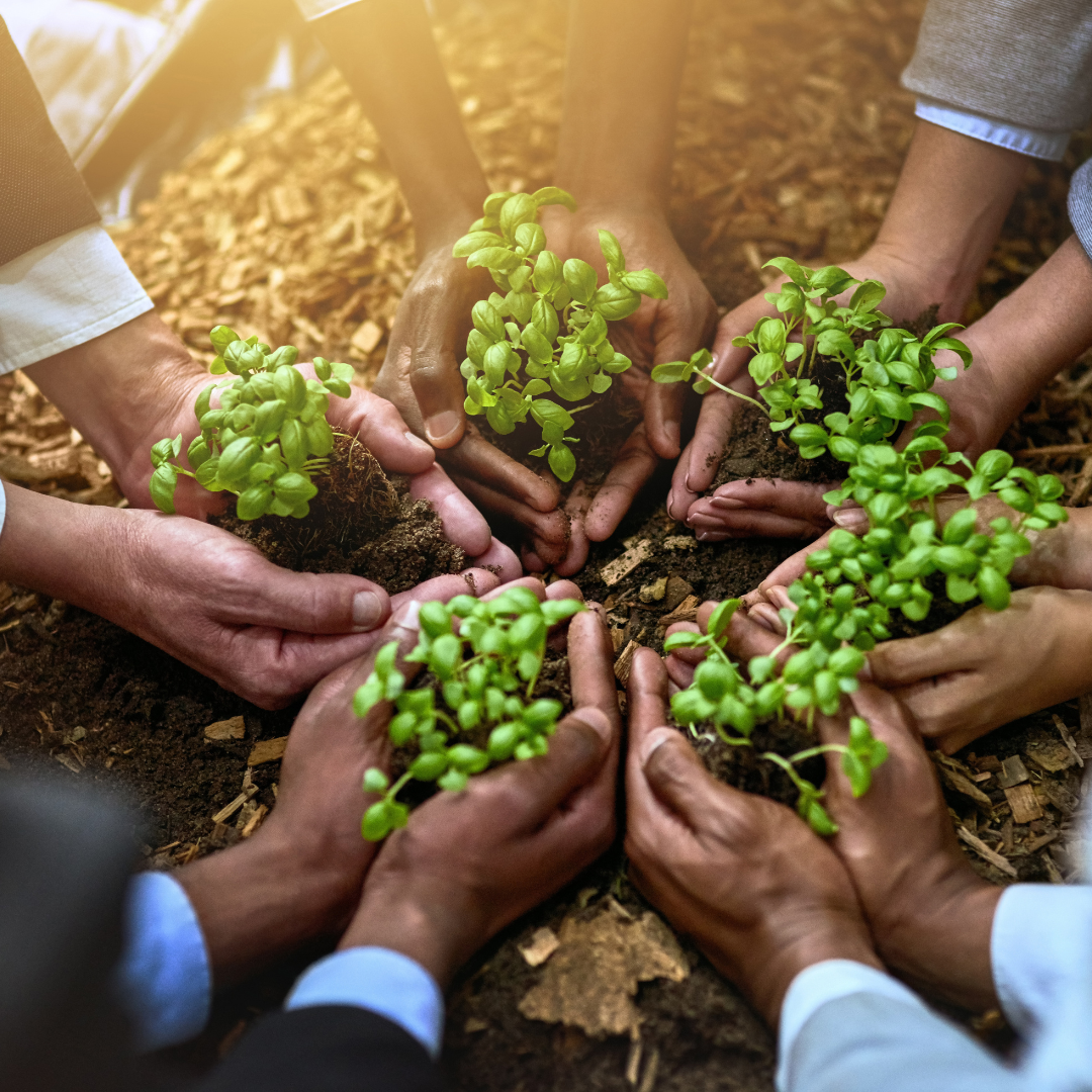 Embracing the Future: Agricultural Advances Shaping Tomorrow's Farming - SpinnerAg Inc.